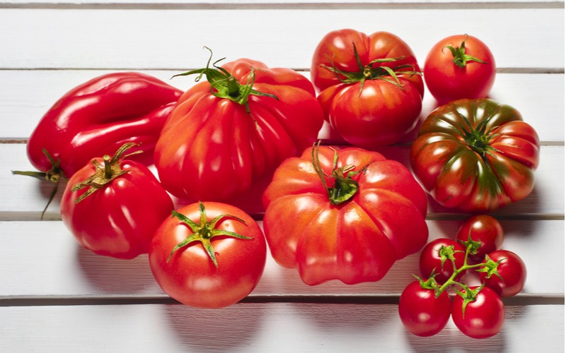 Jak pěstovat rajčata a jaké nemoci jejich nejčastěji postihují ...