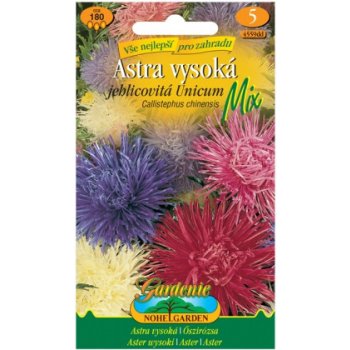 Květy astry - jak sázet a pěstovat tyto trvalky - Cestakbydlení