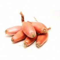 Šalotka - jak pěstovat, rozdíly cibule, recepty - Cestakbydlení